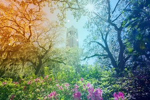 CoP Beginner’s Toolkit | Lastinger Center for Learning