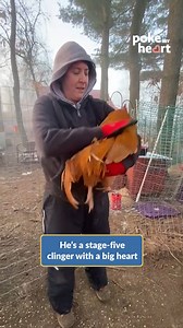 14K views · 51 reactions | Catch the top heartwarming moments that you cannot miss in the new episode of Weekly Wonder | Poke My Heart | Facebook