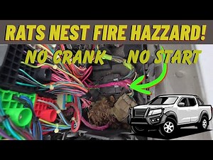 No Crank-No Start-New Starter! Towed In!!