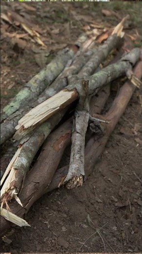 How to Make a Fire - Bushcraft Survival Australia