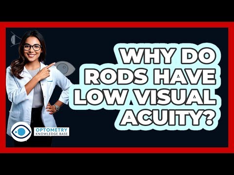 Why Do Rods Have Low Visual Acuity?