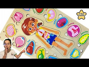 Inside Your Body: Science Experiments You Can Do At Home! 🧠🫀