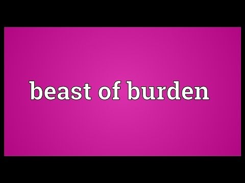 Beast of burden Meaning