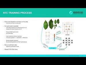 Neural Shading Course - Neural Texture Compression