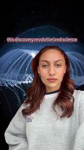 Alice | Ever wondered how scientists make cells glow? ✨ The answer is GFP — green fluorescent protein — first discovered in a jellyfish. Today,... | Instagram