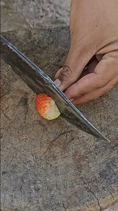 Strawberry fruit | Strawberry benefits