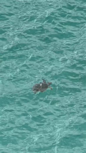 VIP Management & Real Estate on Reels | Facebook