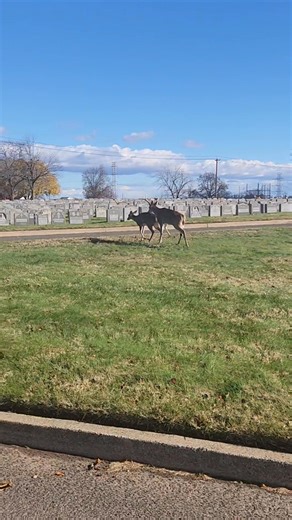 ITS THAT TIME!! | Michael Comp