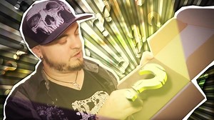 Adopte un Créatif : Interview avec Cédrik Jurassik - Eklecty-City