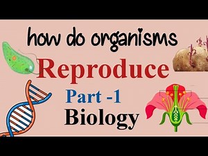 How do organism reproduce class 10 biology chapter #biology #cbse12thbiology #class10