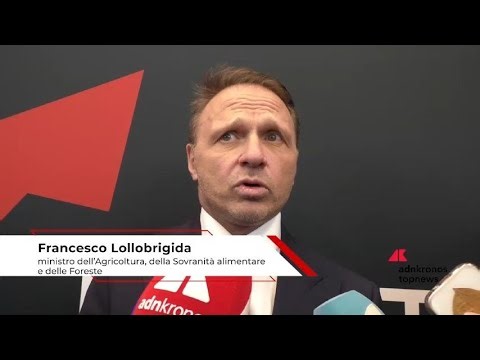 Mercosur: Lollobrigida, ‘chieste regole chiare a difesa degli agricoltori’