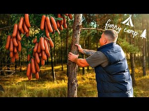 Easy Campfire Cooking Anyone Can Try!