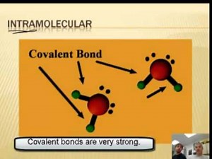 Intro to Chemistry: Intermolecular Forces 1/2