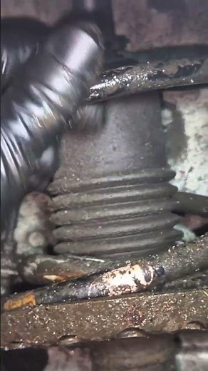 Suspension Noise - Front struts broken spring.