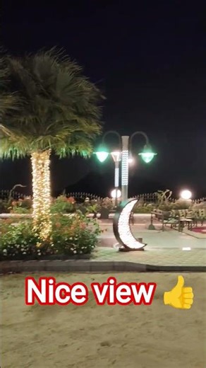 #viralvideo #shortvideos #pawarholakhalidhobijatimere #love