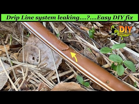How to fix a leak in your Drip Line system - DIY