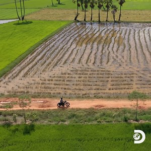 10K views · 1.2K reactions | Always on the move  A new episode of #ExpeditionUnknown starts NOW! | Expedition Unknown | Facebook