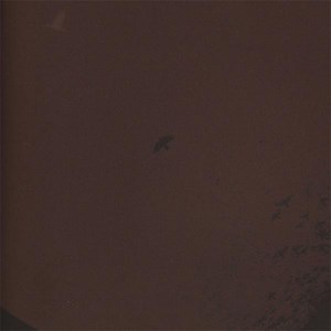 My Dying Bride - Evinta