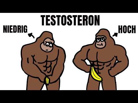 Wie man den Testosteronspiegel auf natürliche Weise erhöht, erklärt von einem Affen