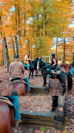 #goodfriends #SaddleUp #goodhorses #Good friends Timber Ridge horse camp with good friends #horseriding #saddle up | Misty Mtn Farm | Facebook