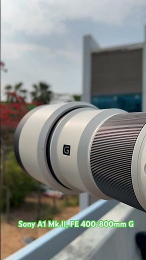 Sony A1 Mk II, FE400-800mm 實拍