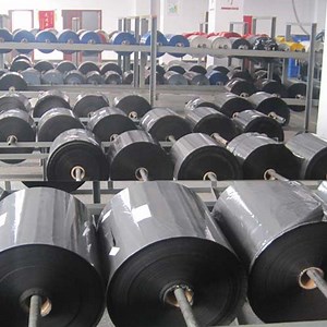 [Hot Item] Barcode Printing Wax Ribbon for Coated Paper Rolls