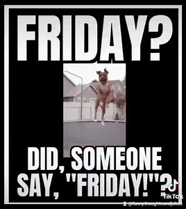 Happy Friday 🙂 | Funny thoughts and jokes.