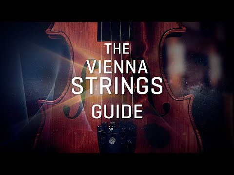 The Ultimate Overview of All Vienna Strings