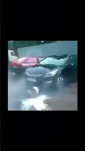 Dog goes into shock after bottle explodes.￼