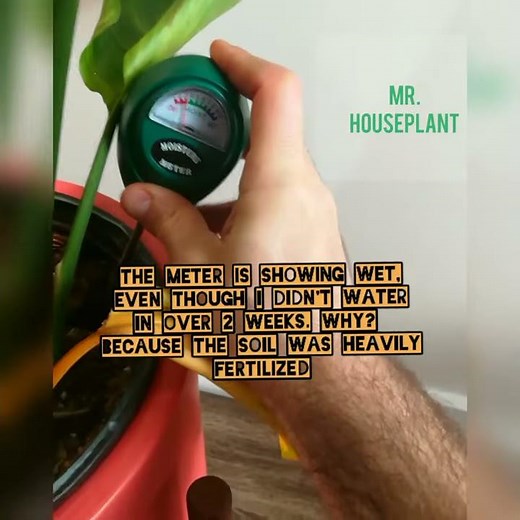 How to use a moisture meter