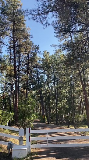 Understanding Girl Language in a Relationship: How to Decode Signals