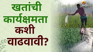 Fertilizer Use: खत ओळीने देण्याची योग्य पद्धत