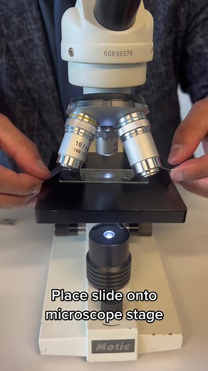 Observing Stomata Under a Microscope