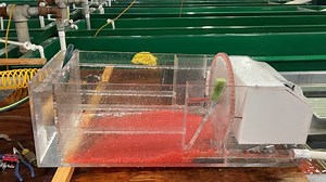 11K views · 201 reactions | It’s egg-counting season! A machine that...