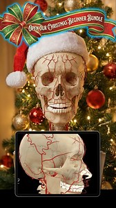 10K views · 45 reactions | ⚠️ Last chance to master the 13 high-risk...