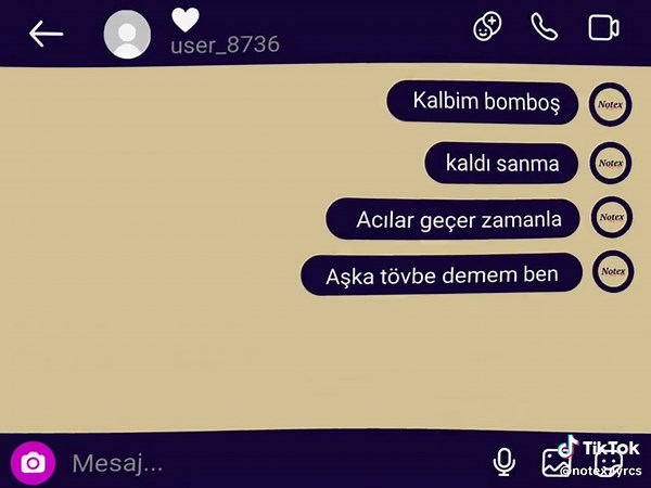 Anlamazdın Şarkısının Sözleri ve Anlamı