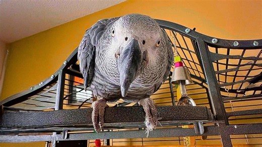 He spent 16 years in silence - until he met the right people