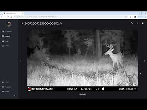 StealthCam Cellular Trail Cameras and Command Web Portal