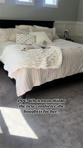 “Ah ma, you shouldn’t have!” 🐶❤️