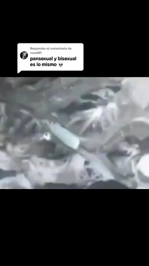 Understanding Pansexuality and Bisexuality: A Deep Dive