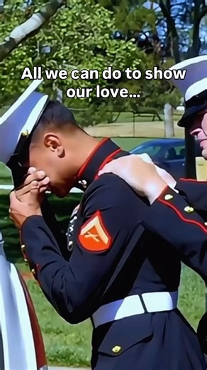 4.3M views · 91K reactions | They gave everything for a future they...