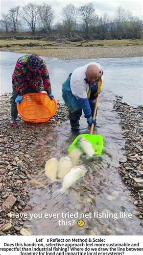 Streamside Harvest: Net Fishing in a Creek 🎣
