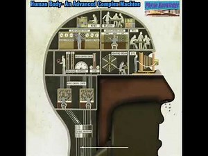 Human Body- An Advanced Complex Machine