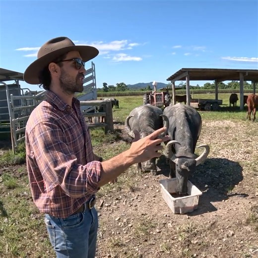 22K views · 474 reactions | Back 2 Basics Adventures on Reels | Facebook