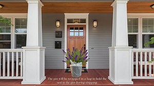 FIRST EDITIONS 2 Gal. Psychedelic Sky Butterfly Bush Flowering Shrub with Fragrant Blue Flowers 16502