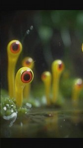 GREENFRIENDS - An Experimental Short Film