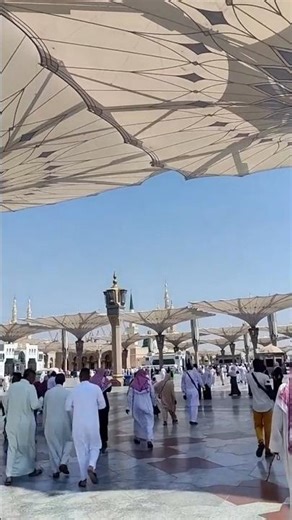 Most Beautiful & Most Viewed Madina Sharif View | Heart-Touching Masjid-e-Nabawi#shorts virals