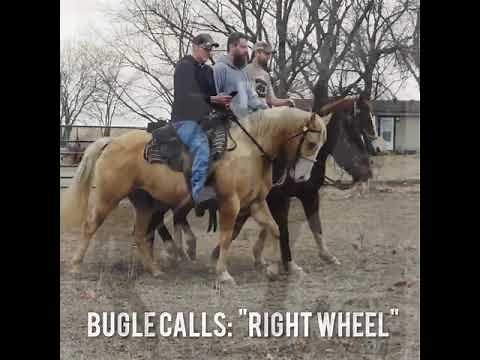 CAVALRY BUGLE CALLS