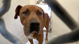 25K views · 1.8K reactions | RESCUED - moved to SAFE Album on 03/10...