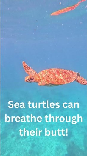 “Create an Eye-Catching AI Profile Picture Step-by-Step | Beginner Friendly Tutorial”